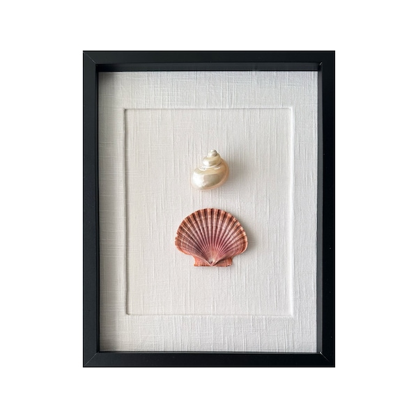 Framed Shell Art - Etsy