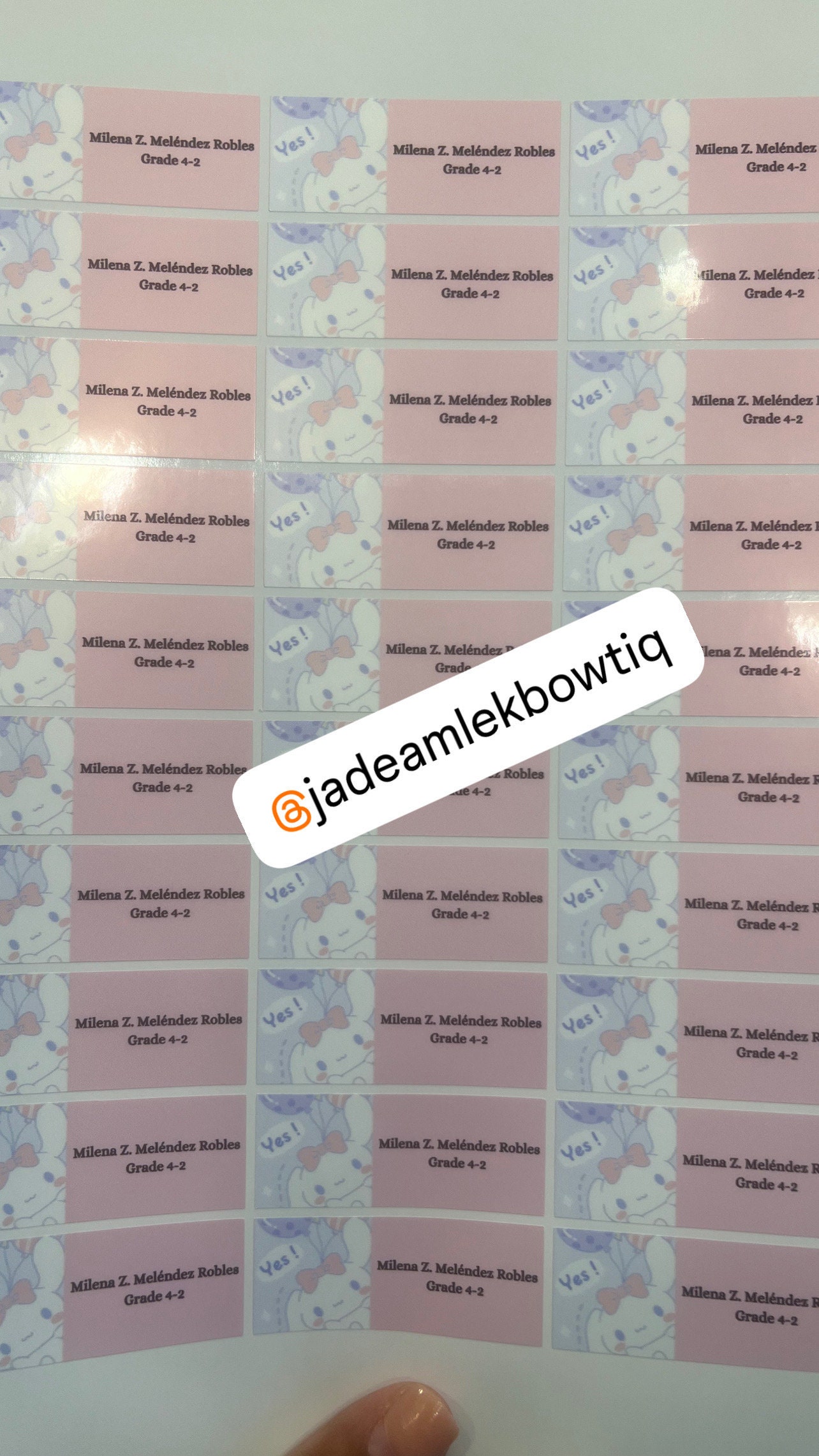 Cinammon Sanrio Anime Kawaii Custom Lables / Pegatina Escolares ...