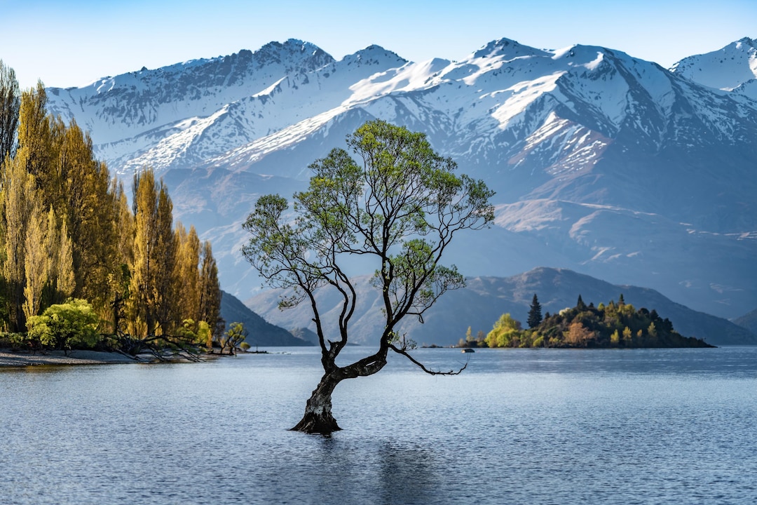 That Wanaka Tree Landscape Photography Prints • Lustre Paper, Canvas ...