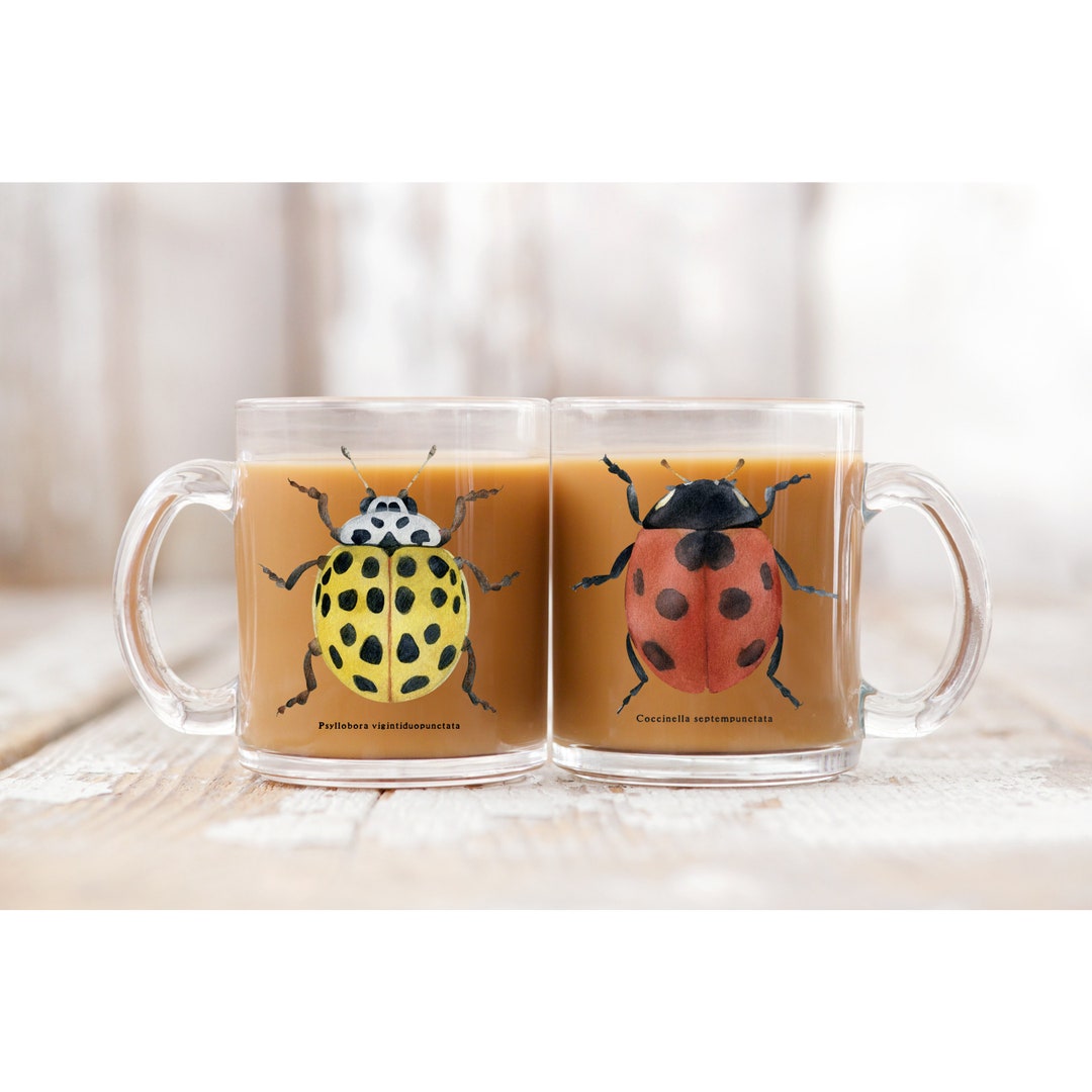 Two Sided Ladybug Mug, Spring Tea Cup, Cozy Coffee Break, Scientific ...