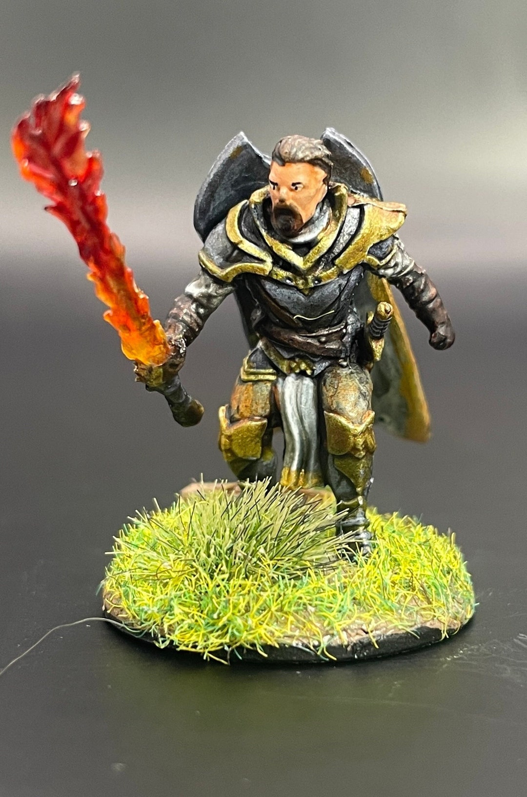 Painted Human Paladin/fighter Miniature Male Pathfinder D&D Tabletop ...