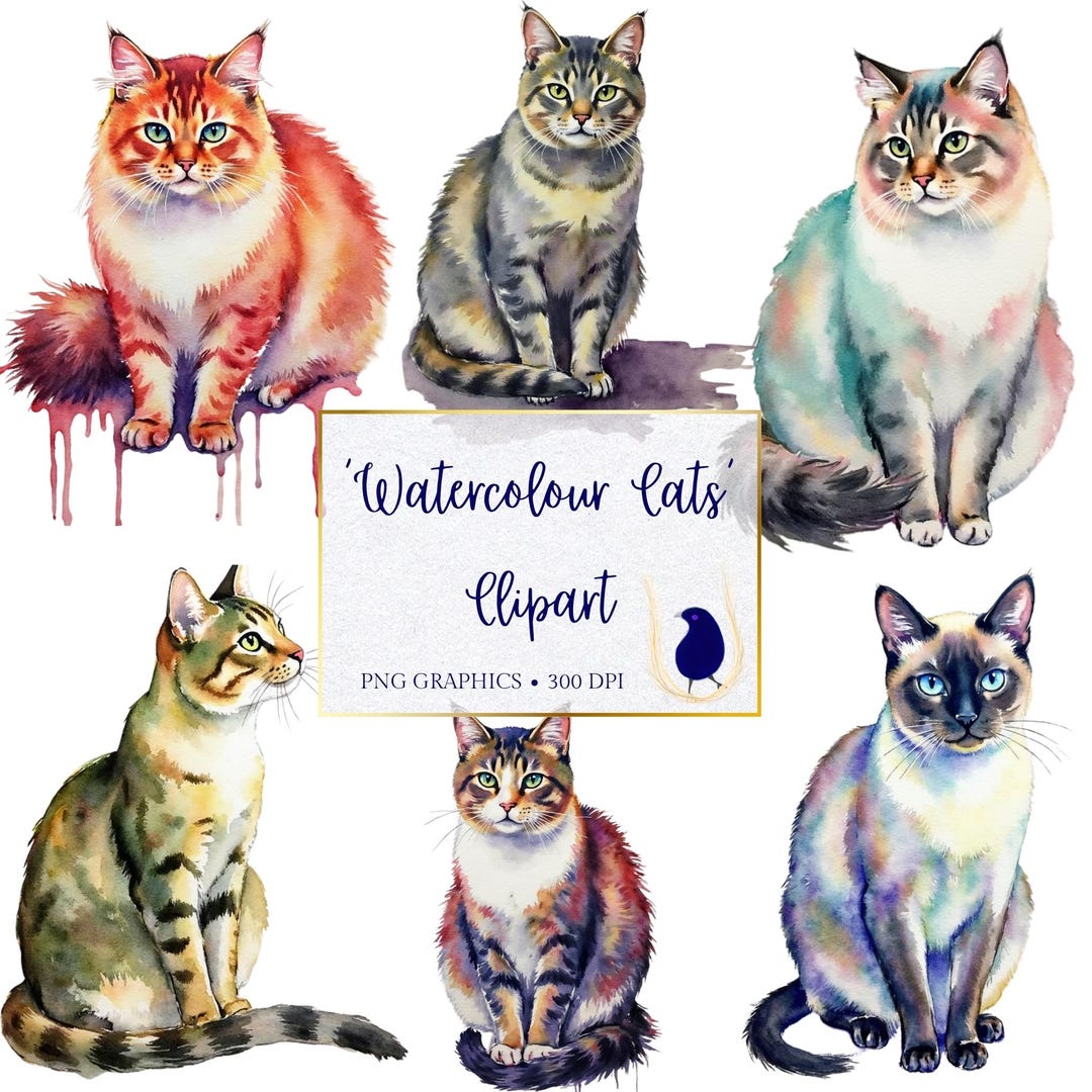 Colorful Cat Clipart, Bright Watercolor Cats PNG, Whimsical Pet Art ...