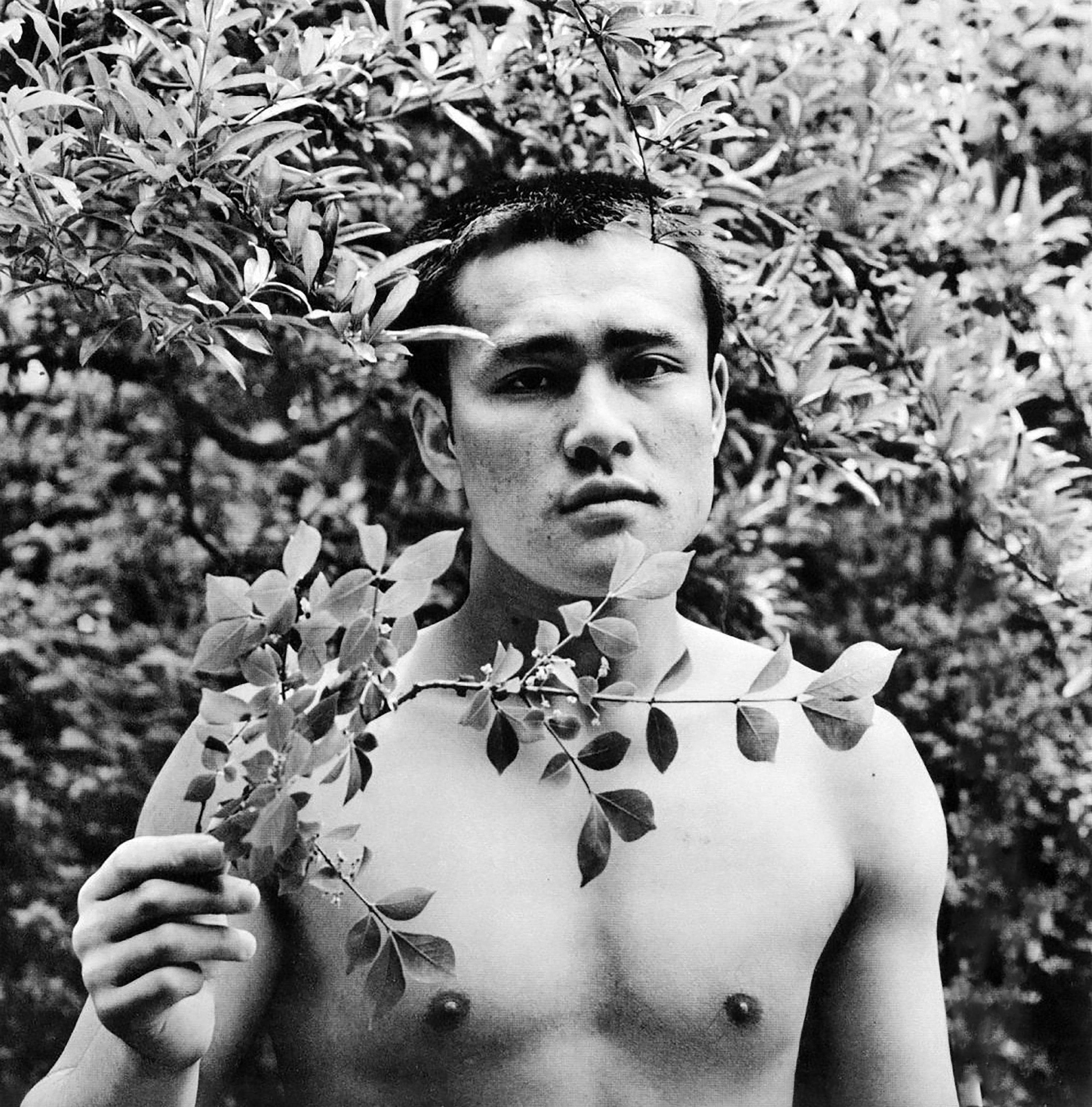 Tamotsu Yato Vintage Photo Japanese Male Gay Holding Branch With Leaves ...