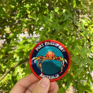 Diving Victoria Patch Melbourne Port Phillip Bay Patch Spider Crab ...