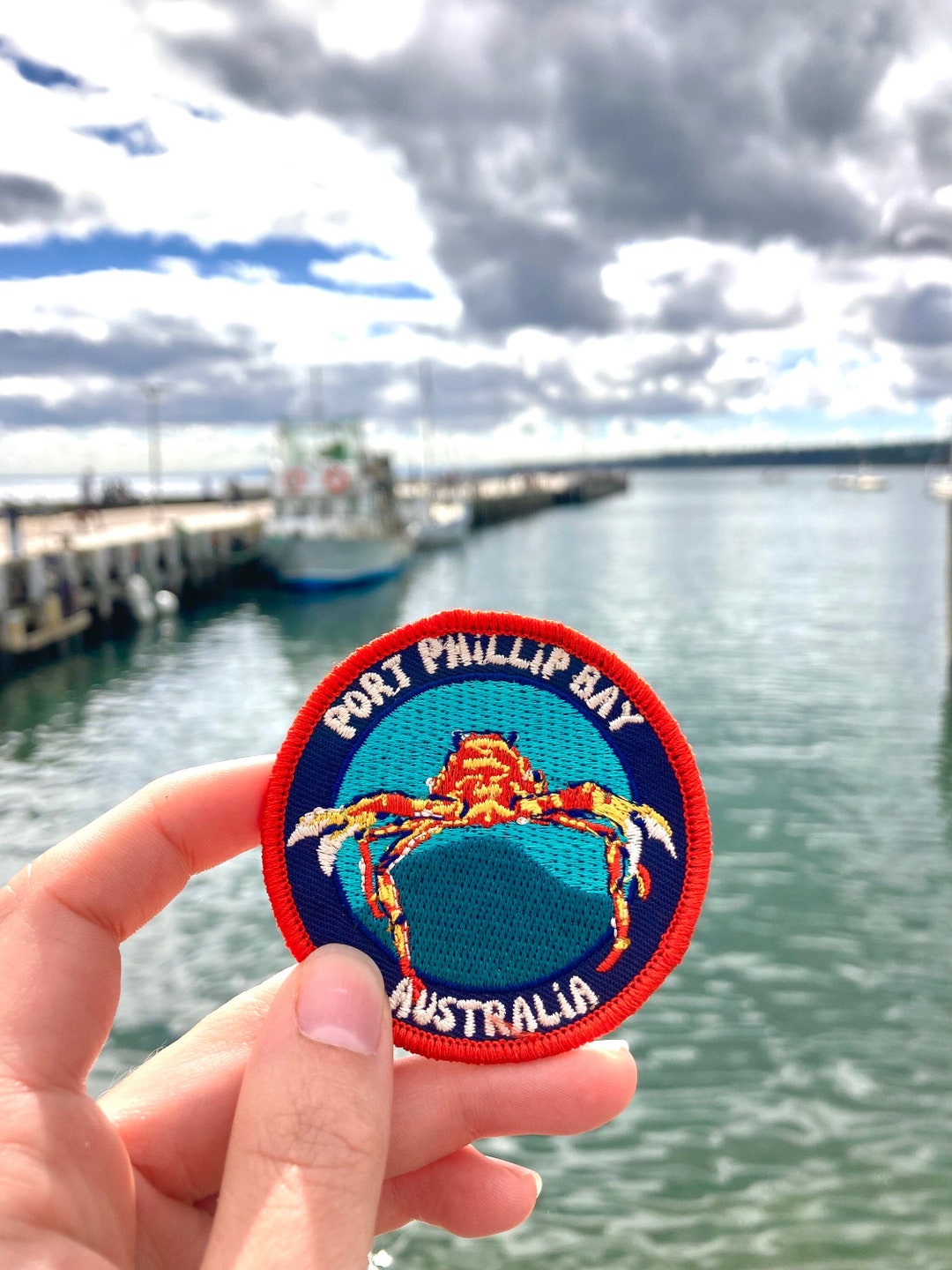 Diving Victoria Patch Melbourne Port Phillip Bay Patch Spider Crab ...