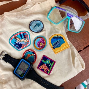 Diving Victoria Patch Melbourne Port Phillip Bay Patch Spider Crab ...