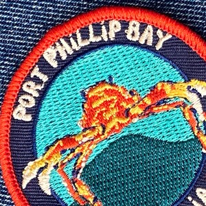 Diving Victoria Patch Melbourne Port Phillip Bay Patch Spider Crab ...