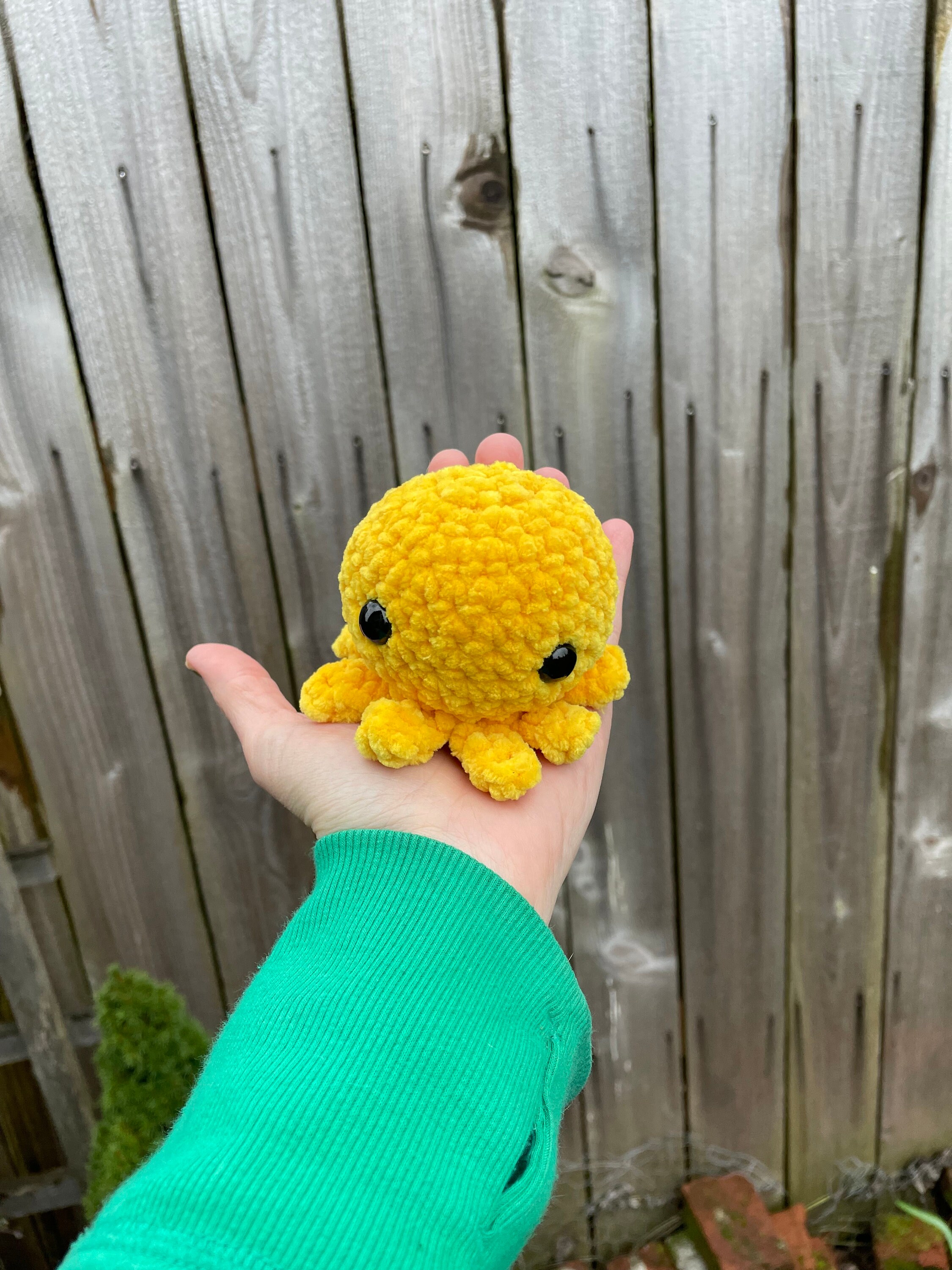 Crochet Baby Octopus - Pulpito - Etsy