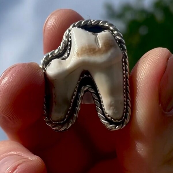 Tooth Ring - Etsy
