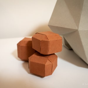 Cute Wombat and Cube Poop Papercraft Template, DIY Australian Animal ...