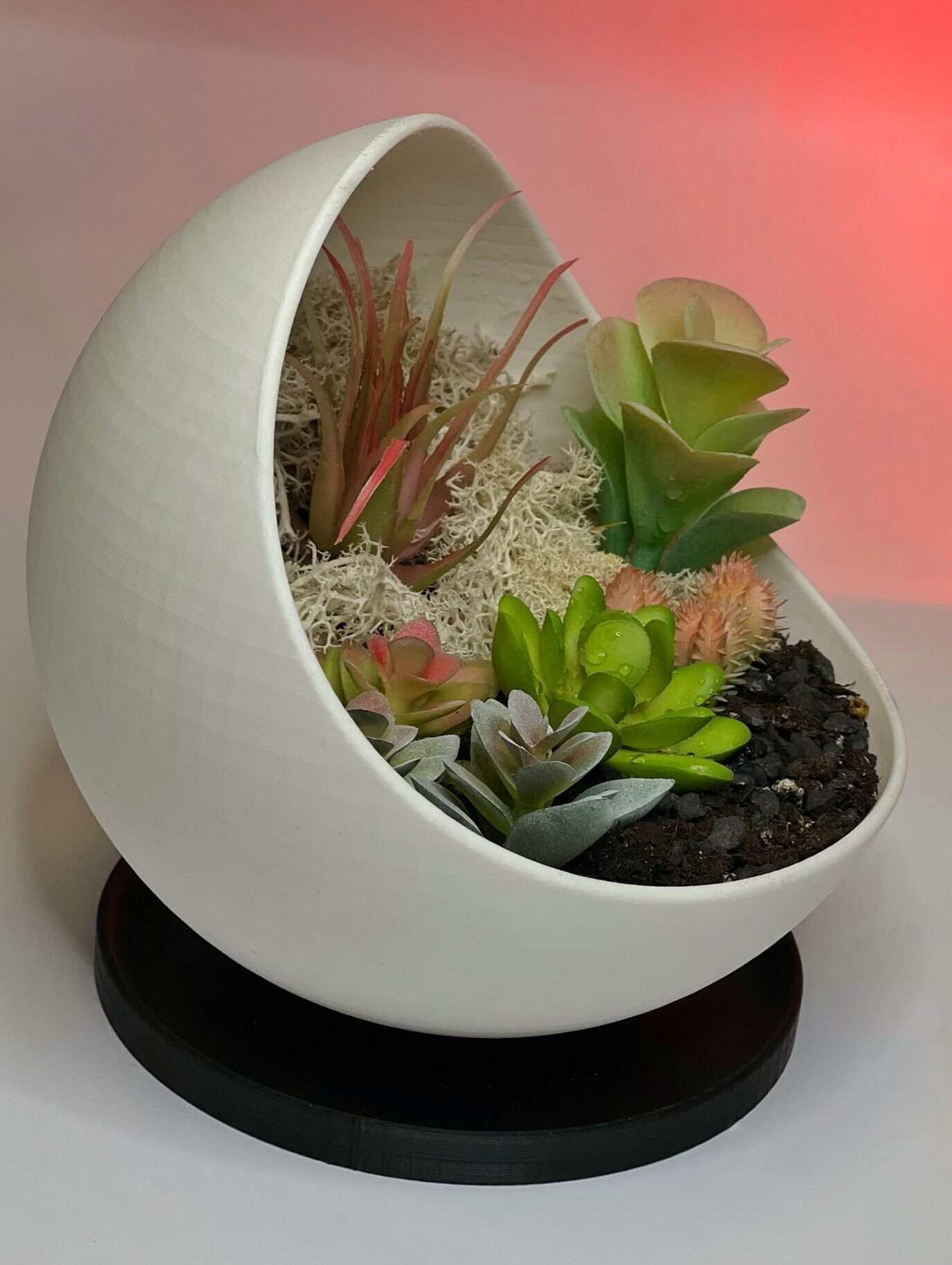 Full Moon Planter 3D Printed Planter for Succulents and - Etsy