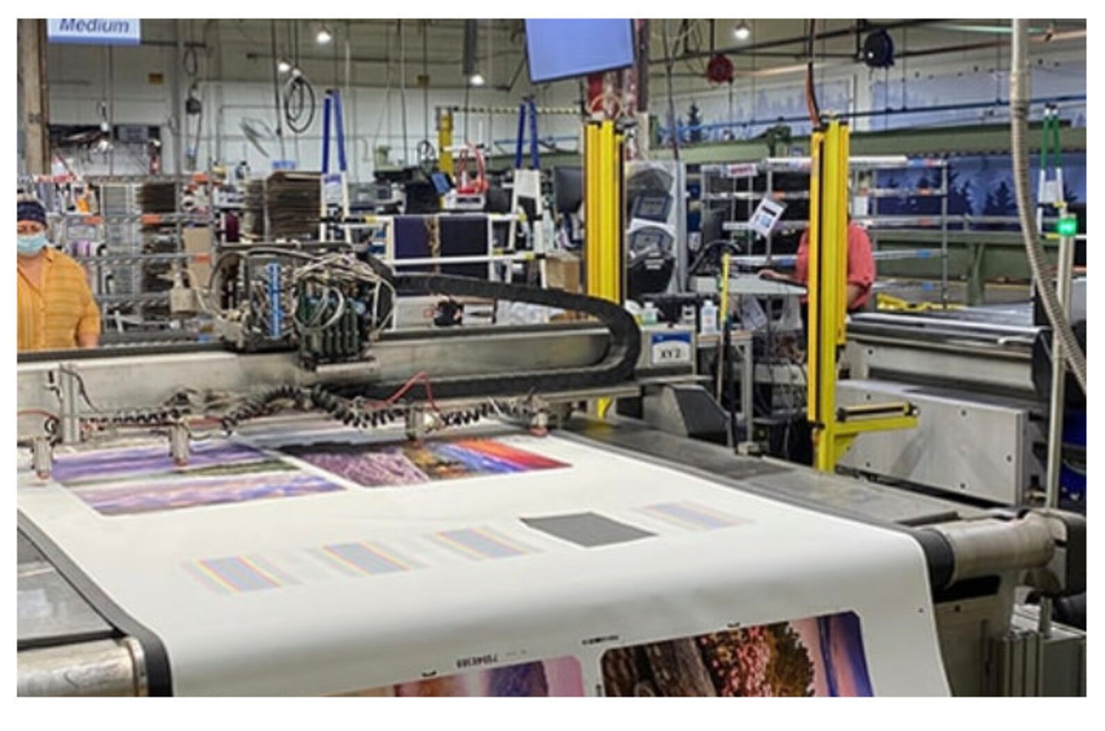 Pond Grass 3 From Black Ink Series by Shinbioshi Original Art - Etsy