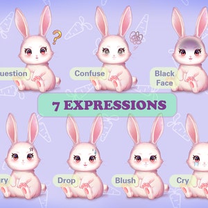 Rabbit Vtuber Avatar-fully Rigged - Etsy