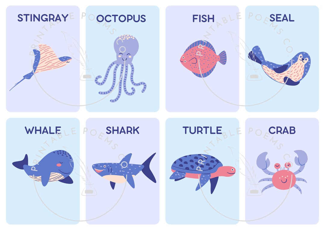 Under the Sea Ocean Animal Flash Cards Digital Download Printable - Etsy