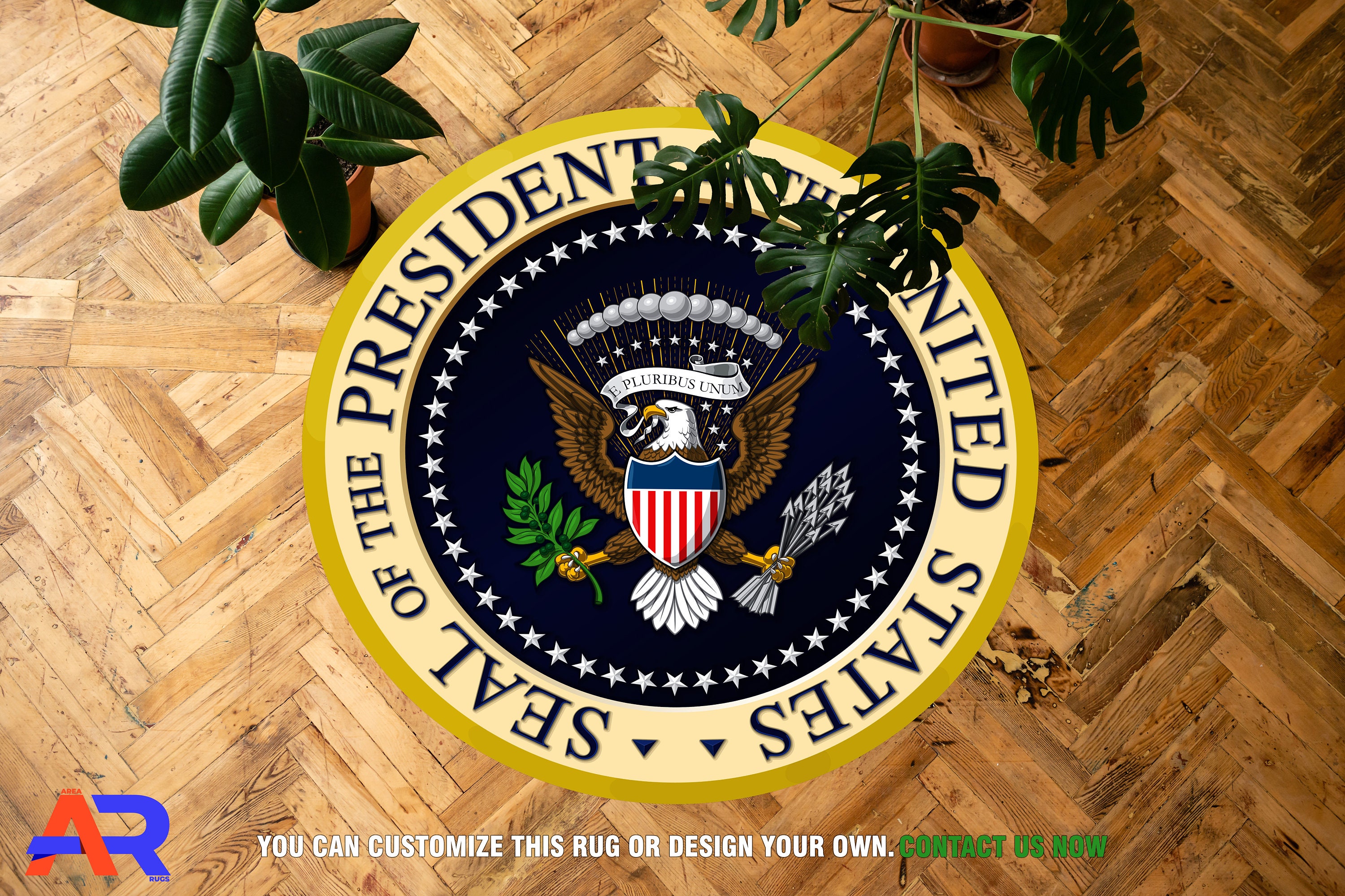 American Eagle Rug, Seal of the American President Rug, Gift for ...