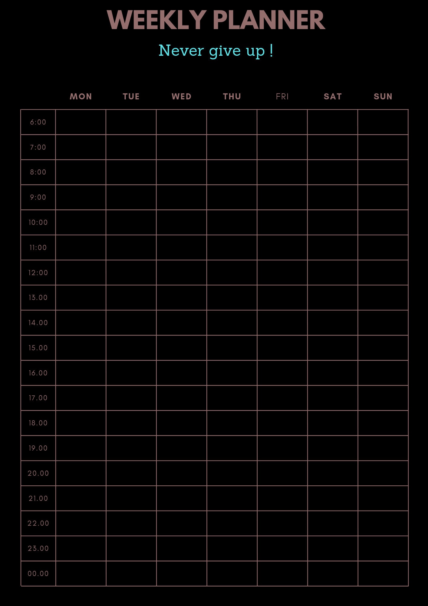 Hourly Planner , Digital Planner, Goodnotes Planner, iPad Planner ...