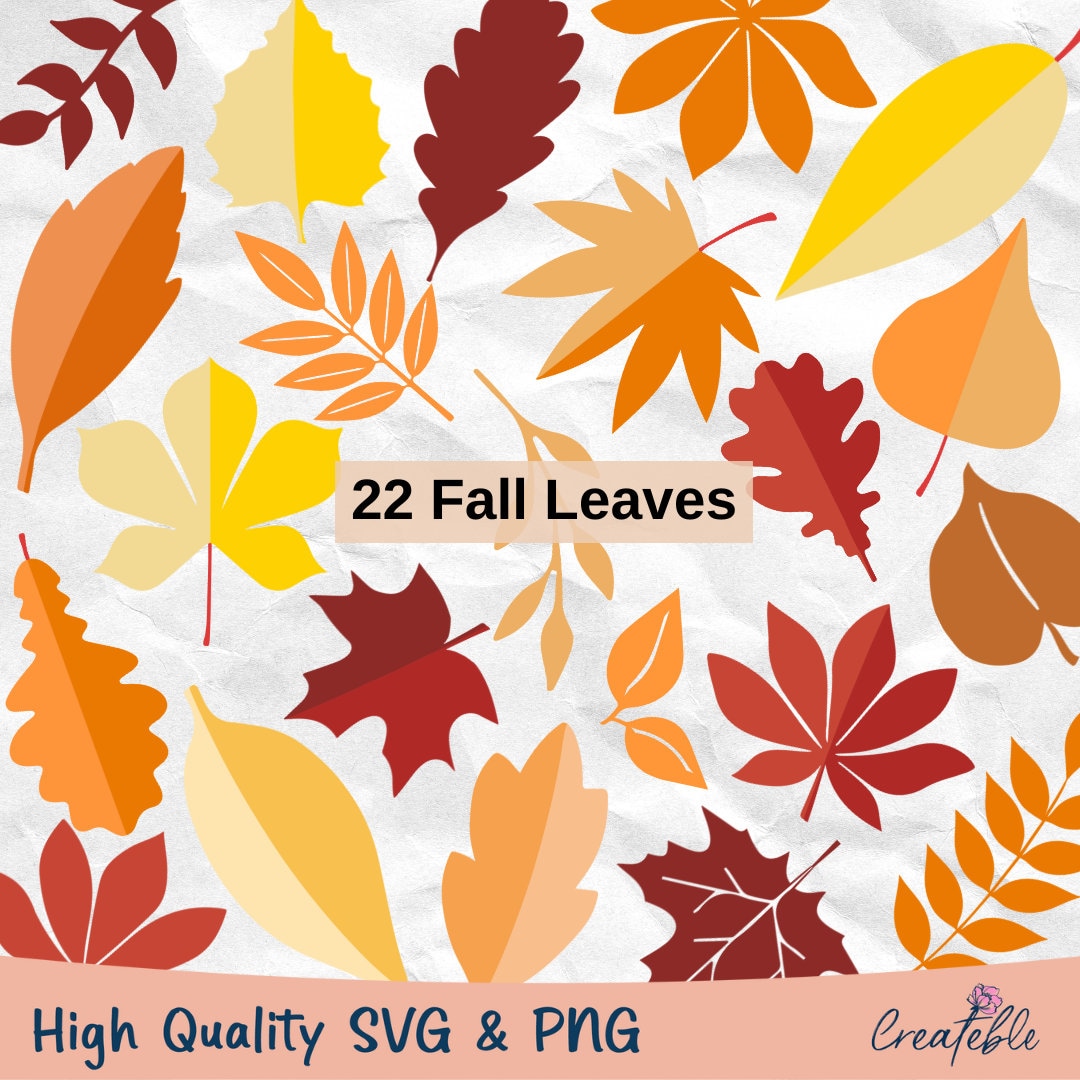 Fall Leaves SVG Bundle, Fall Leaf Clipart, Autumn SVG, Fall Png Bundle ...