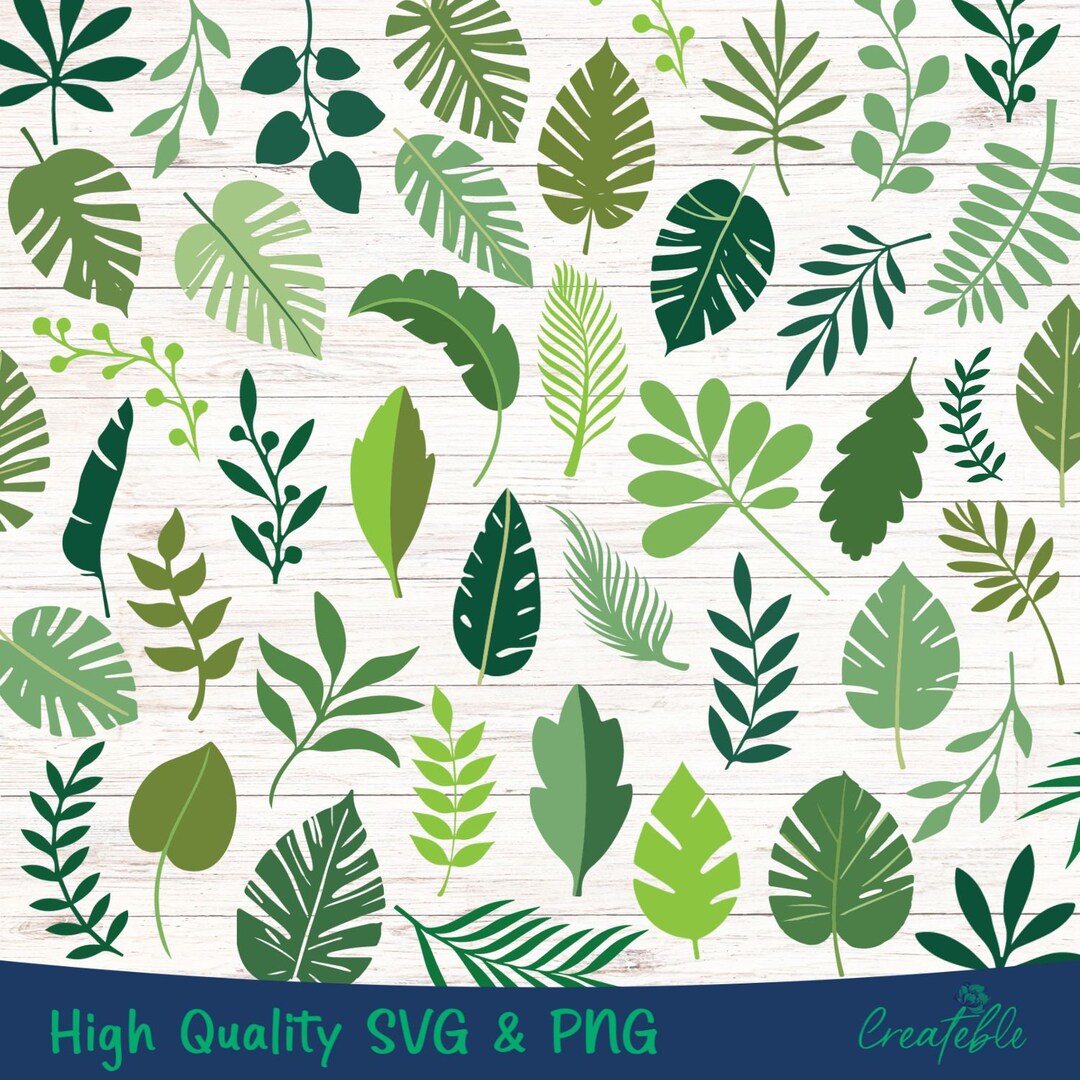 Tropical Leaf SVG Bundle, Tropical Leaves SVG PNG, Monstera Svg, Palm Leaf Svg, Tropical Leaf ...