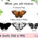 Layered Butterfly SVG, Monarch SVG, Monarch PNG, Butterfly Svg Bundle ...