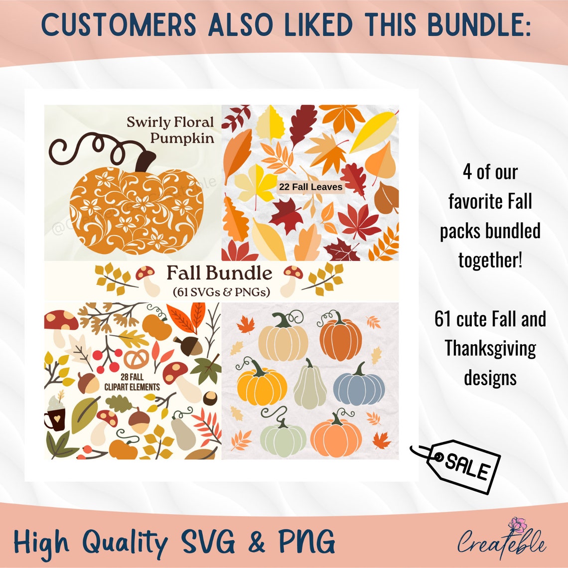 Pumpkin SVG Bundle Fall Leaves SVG Cute Pumpkin PNG Cute - Etsy