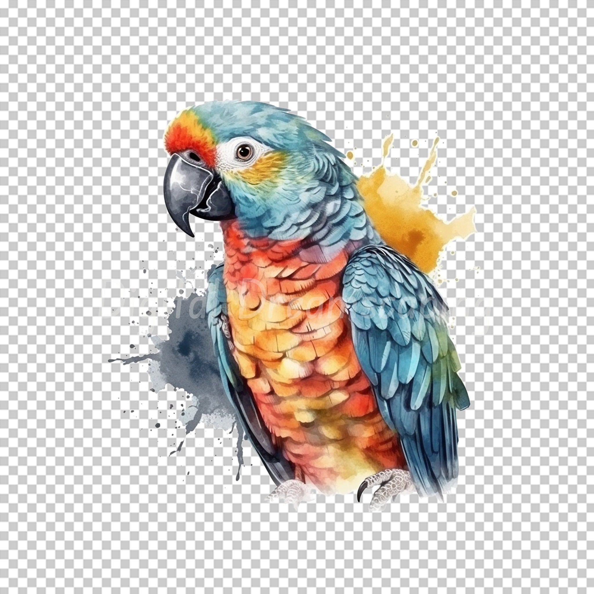 Papagei Clipart Bundle Aquarell Clip Art Digital PNG Transparent für ...