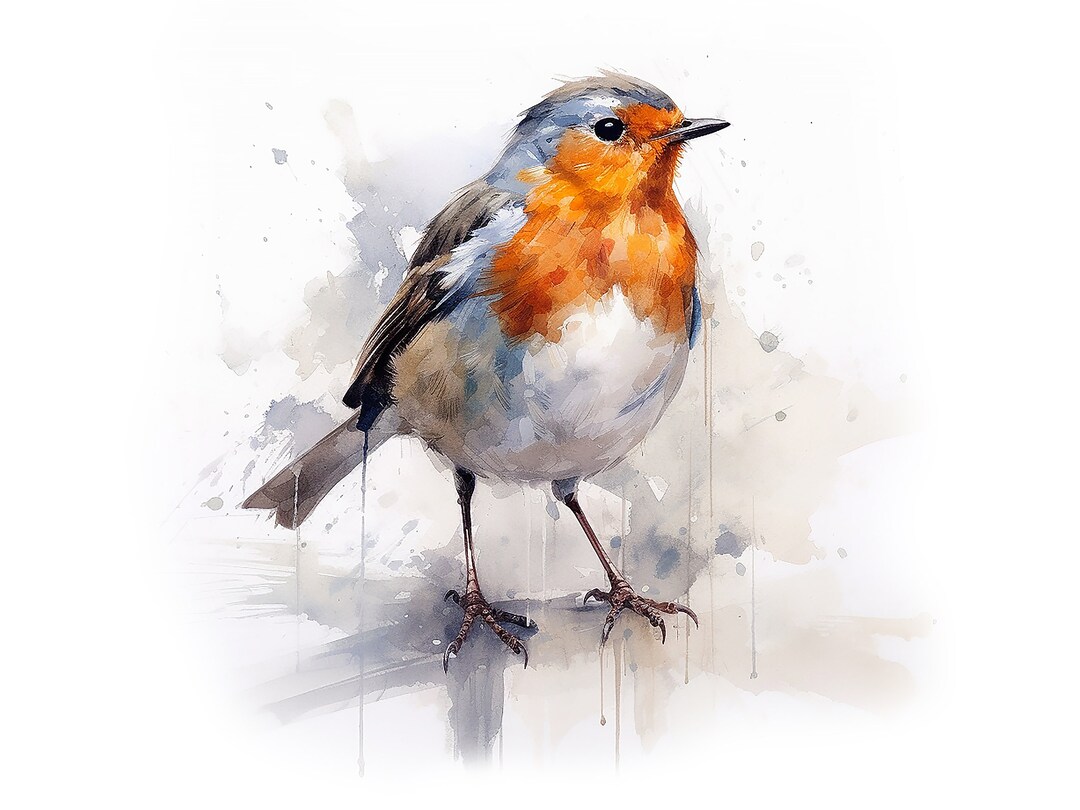 Robin Bird Clipart Bundle Digital Download, Watercolor Clip Art, Wall ...