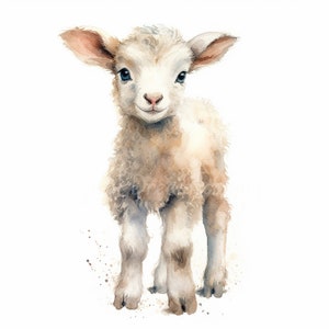 Cute Lamb Clipart Bundle, Digital Download, Watercolor Clip Art, Wall ...