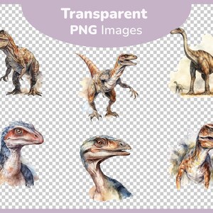 Dinosaur Clipart Bundle 12x PNG Images Transparent Background ...