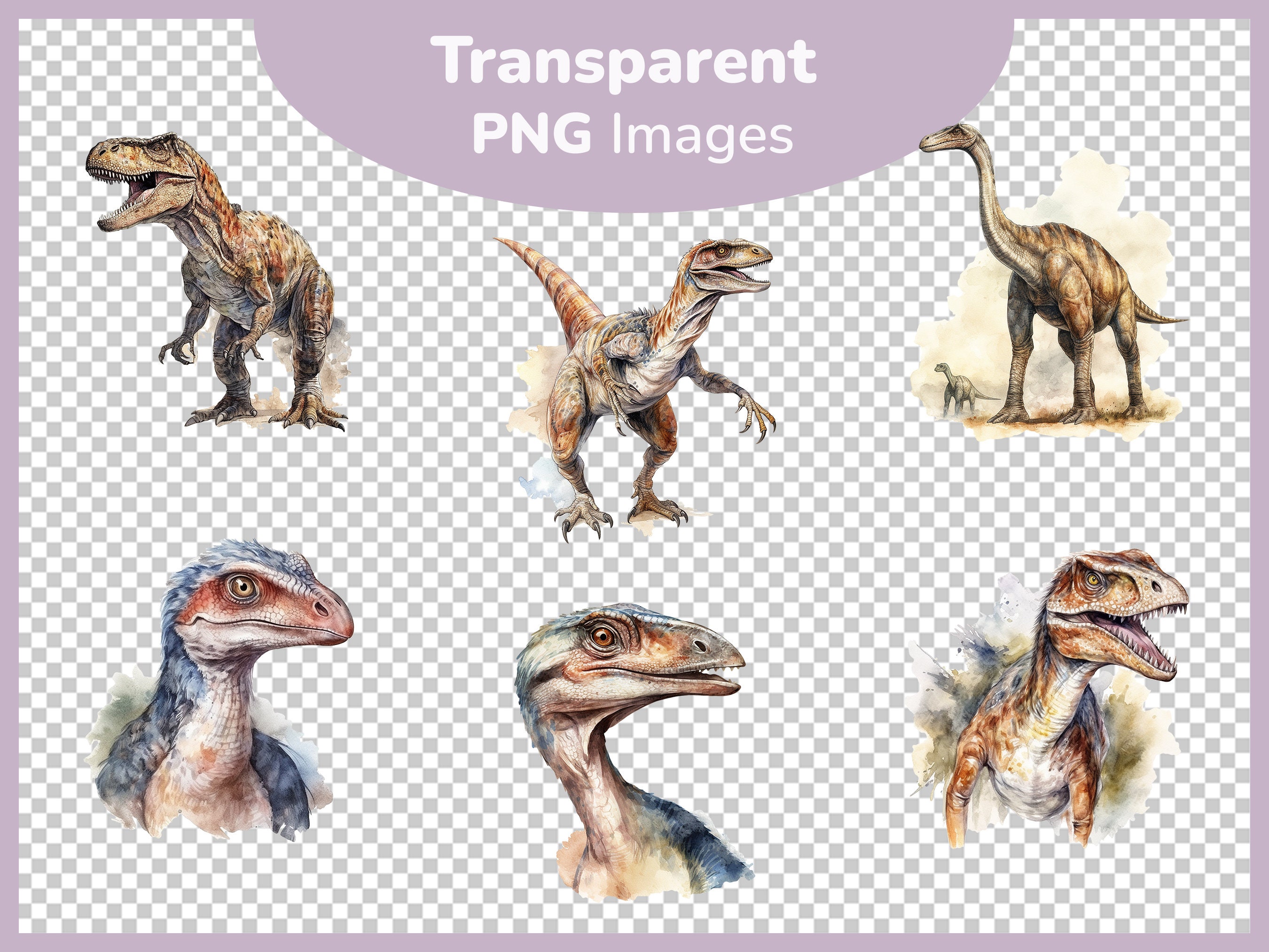 Dinosaur Clipart Bundle 12x PNG Images Transparent Background ...