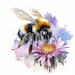 Bumblebee on Flower Clipart Bundle Digital Download, Watercolor Clip ...