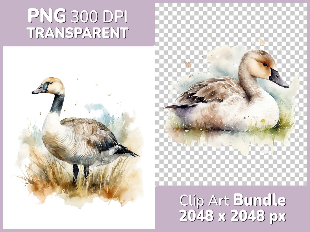 Goose Clipart Bundle Watercolor Clip Art Digital PNG Transparent for ...