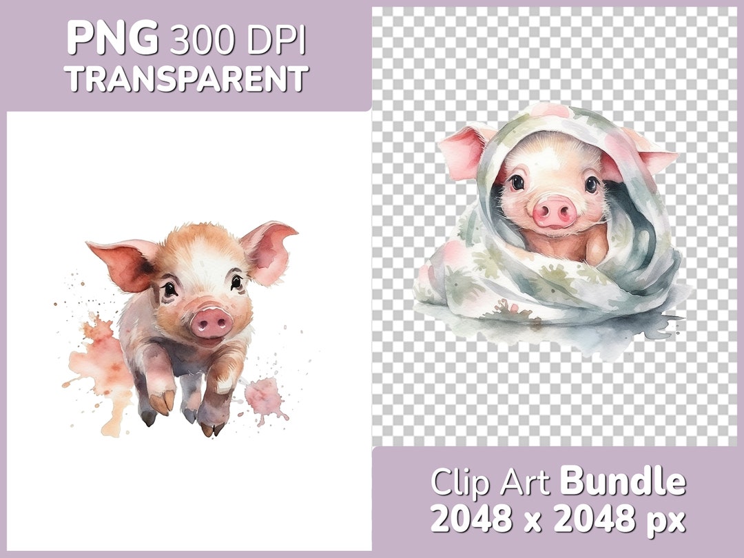 Cute Baby Piglet Pig Motifs Clipart Bundle Cute Watercolor ...