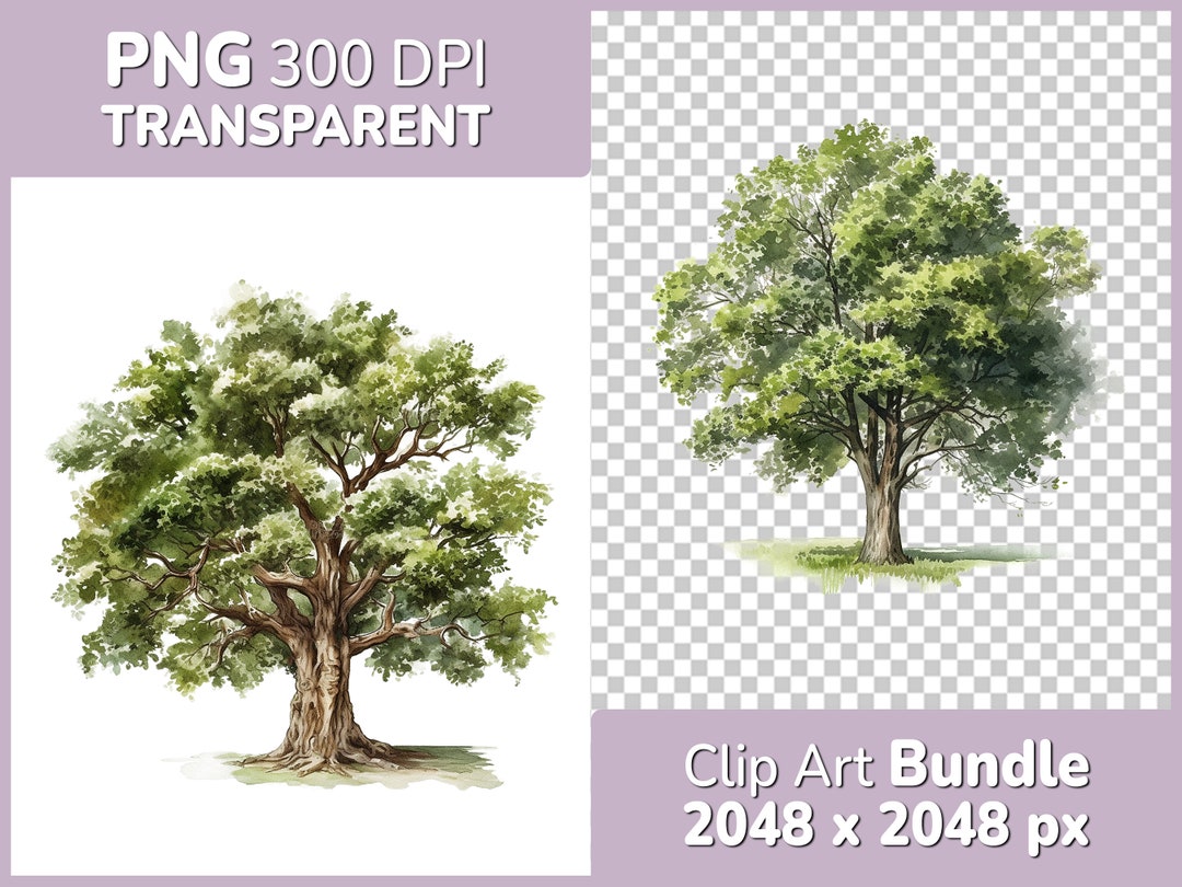 Trees in Summer Clipart Bundle 8x Detailed Watercolor Motifs PNG With ...
