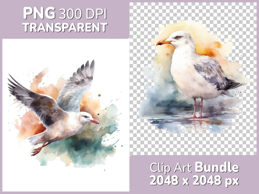 Seagull Bird Clipart Bundle 8x Detailed Watercolor Motifs PNG ...