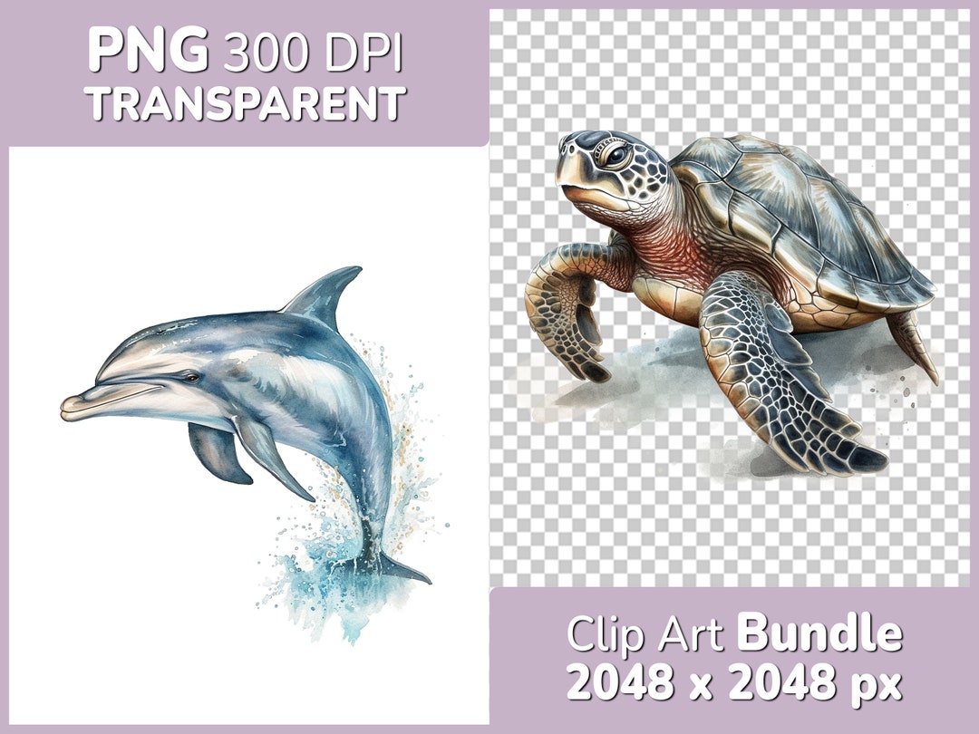 Ocean Animals Clipart Bundle 8x Detailed Watercolor Designs PNG With ...