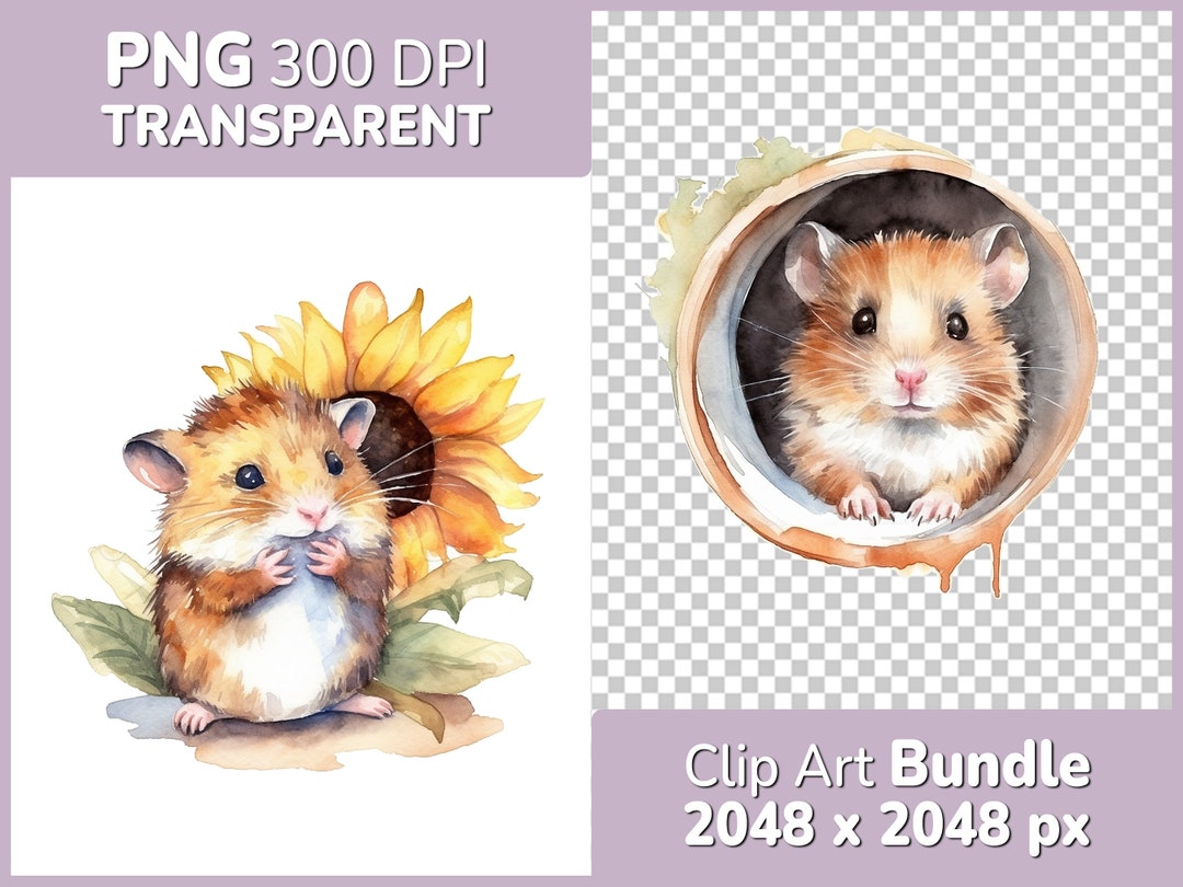 Cute Baby Hamster Motifs Clipart Bundle Cute Watercolor - Etsy