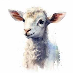 Cute Lamb Clipart Bundle, Digital Download, Watercolor Clip Art, Wall ...