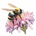 Bumblebee on Flower Clipart Bundle Digital Download, Watercolor Clip ...