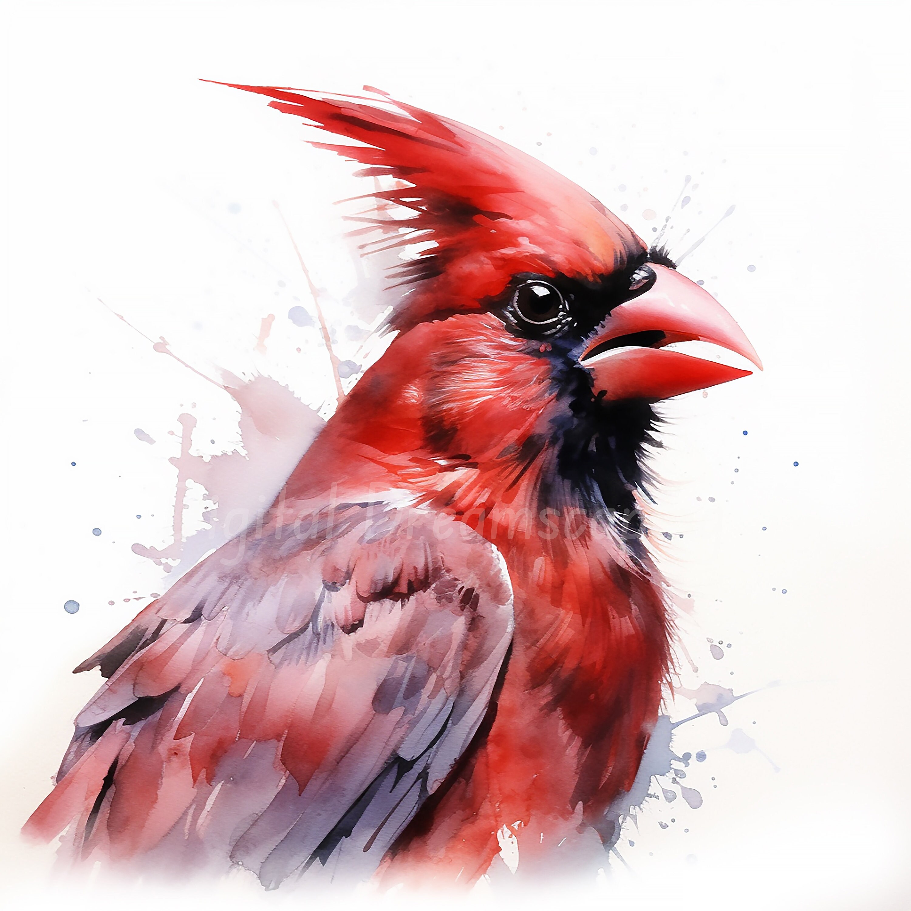 Red Cardinal Clipart Bundle Digital Download Watercolor Clip - Etsy