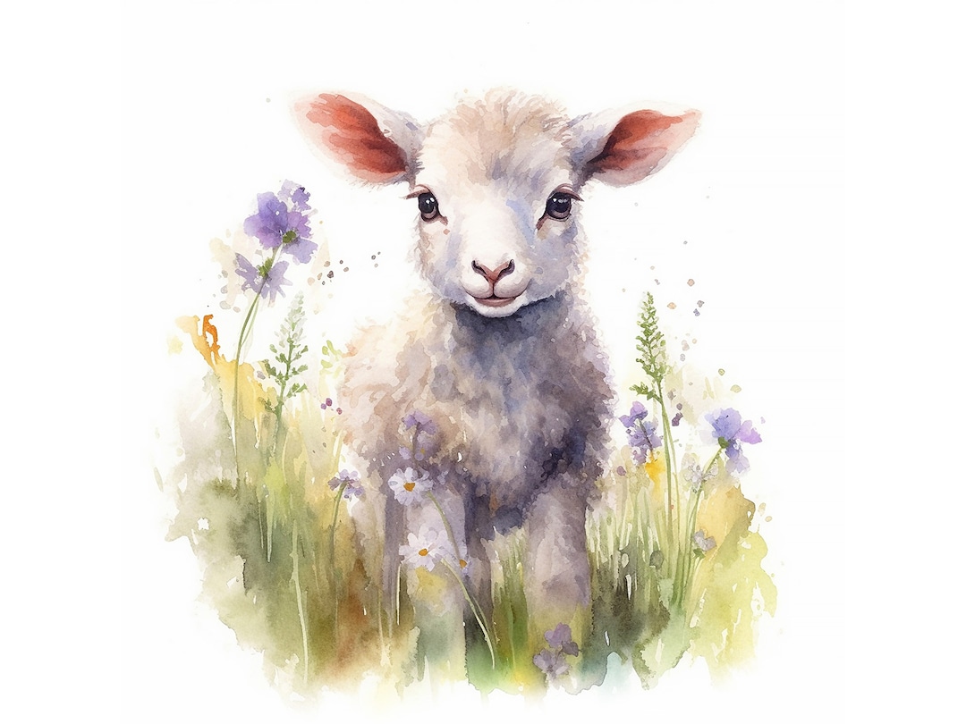 Cute Lamb in Flowers Clipart Bundle, Digital Download, Watercolor Clip ...