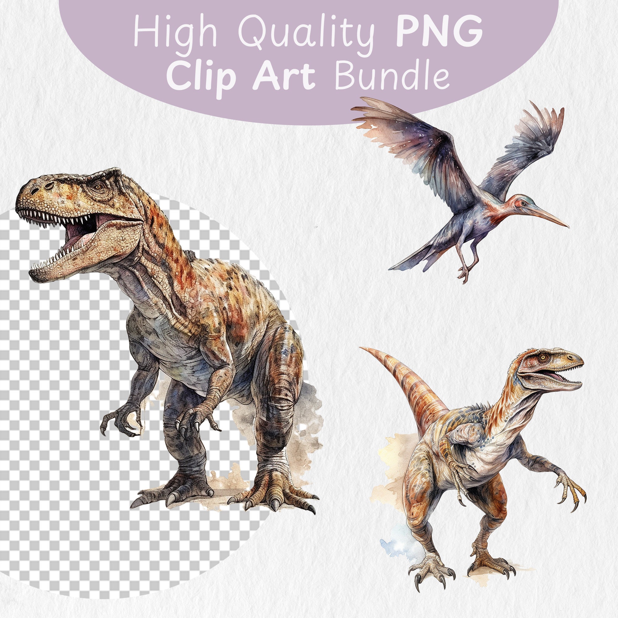 Dinosaur Clipart Bundle 12x PNG Images Transparent Background ...
