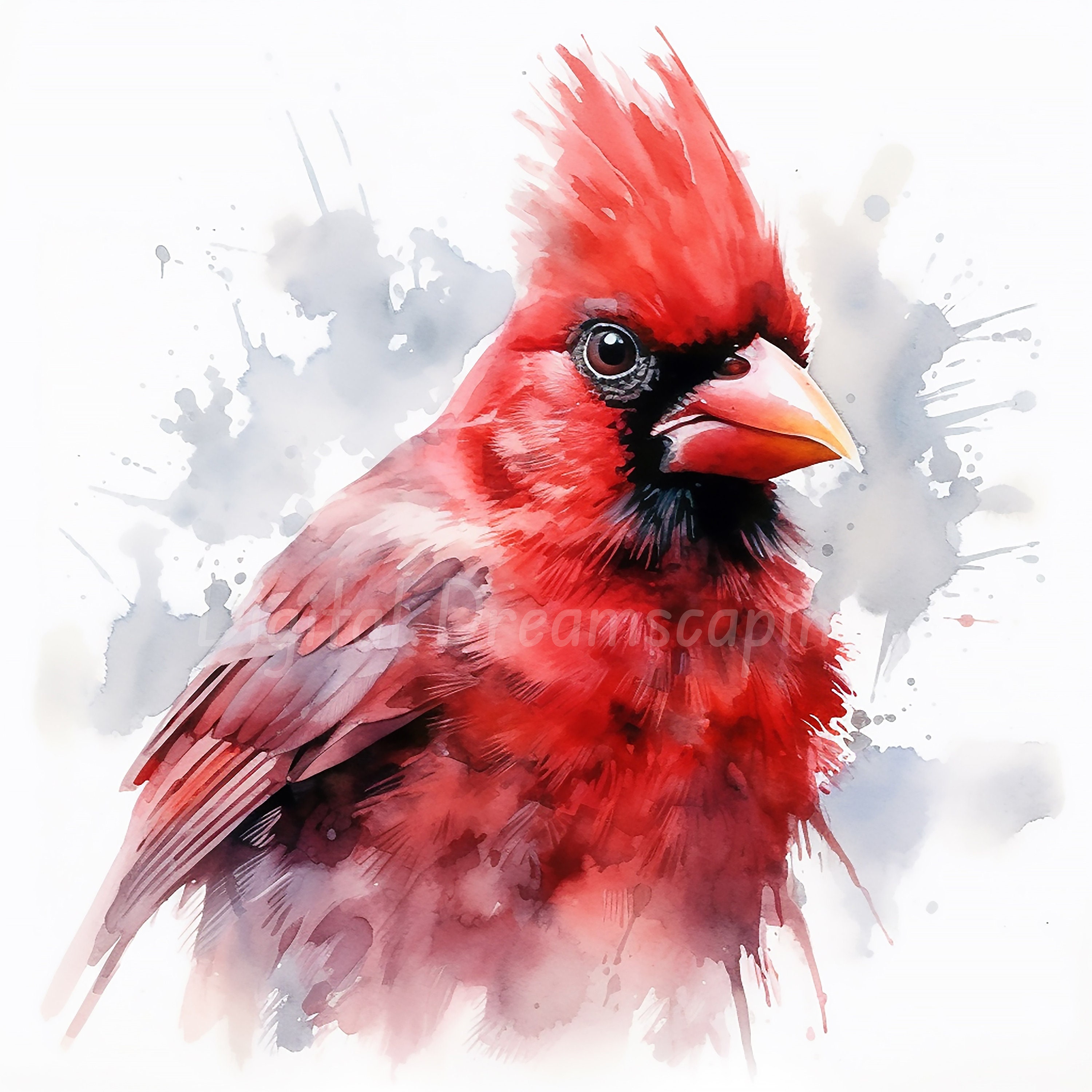 Red Cardinal Clipart Bundle, Digital Download, Watercolor Clip Art ...