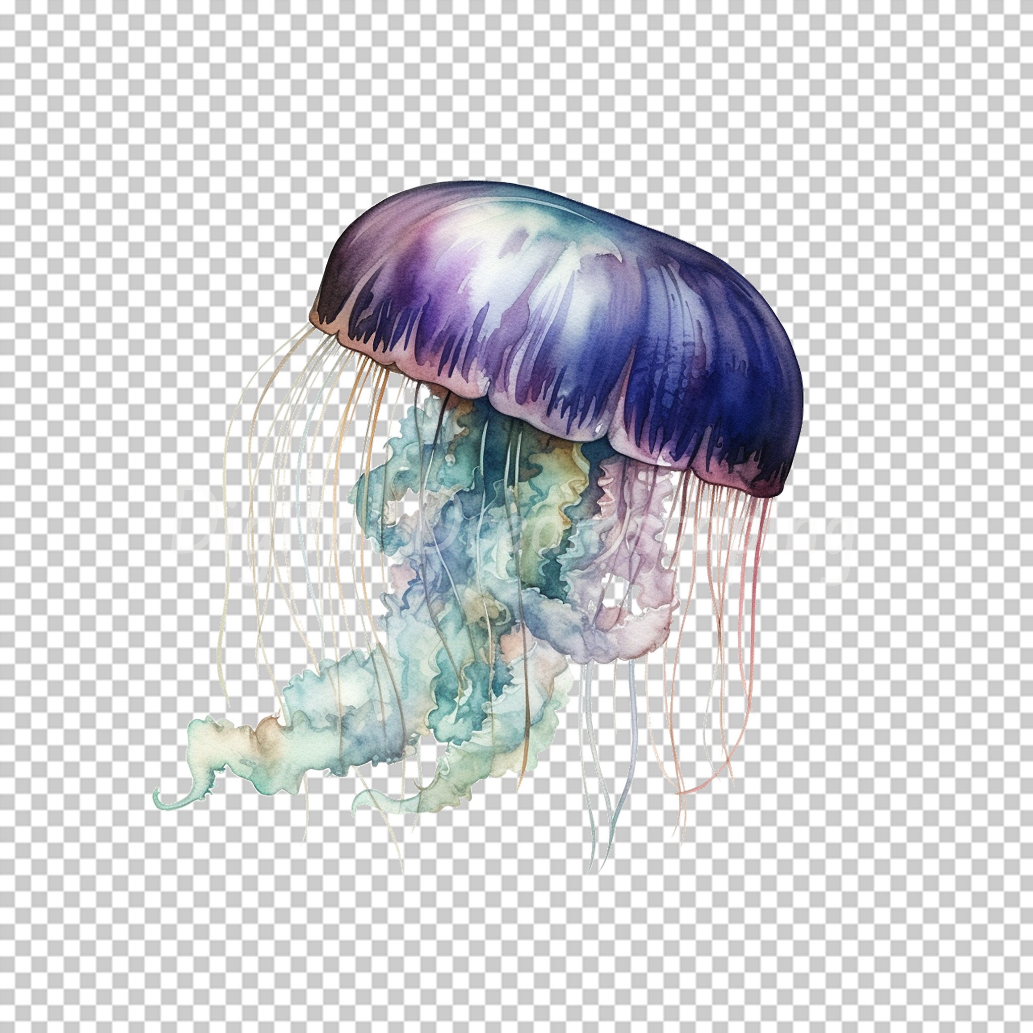 Ocean Animals Clipart Bundle 8x Detailed Watercolor Designs PNG With ...