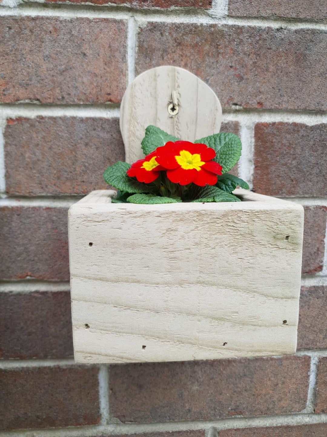 Wall Planter Small Hand Made Wall Planter - Etsy