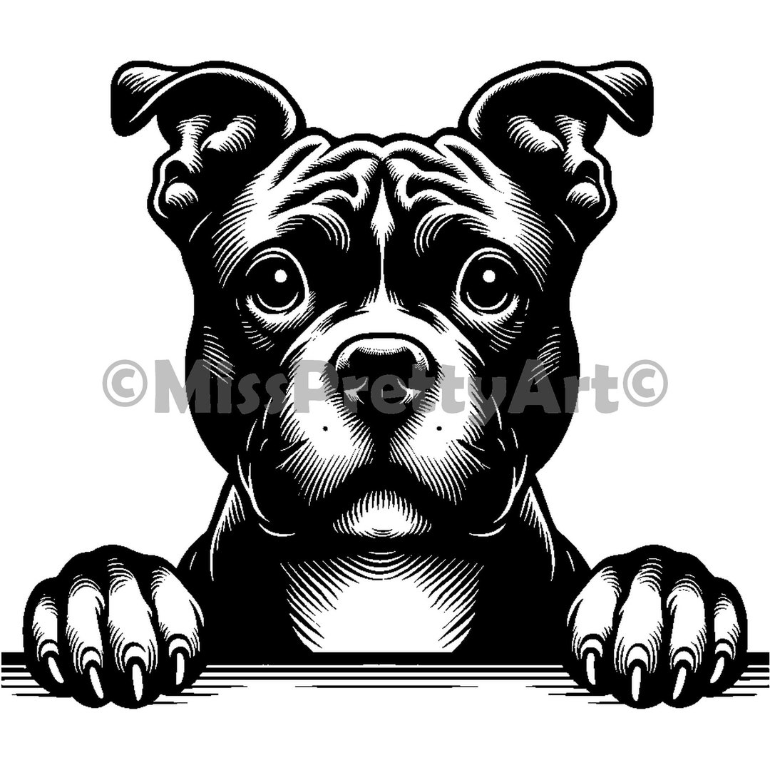 Peeking Adorable American Bully Dog Design Svg , Dxf, Png, Eps High ...