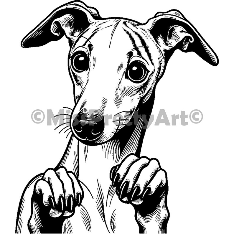 Cute Face of Whippet Dog Svg , Dxf, Png, Eps High Quality Design ...