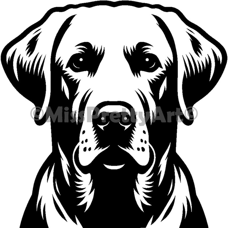 Labrador Retriever Dog Face Close-up Svg , Dxf, Png, Eps High Quality ...