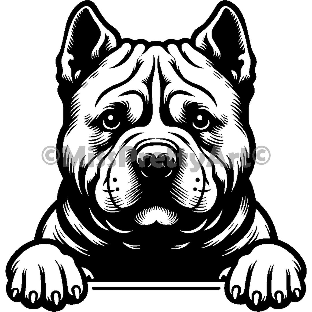 Peeking Artistic American Bully Dog Svg , Dxf, Png, Eps High Quality ...