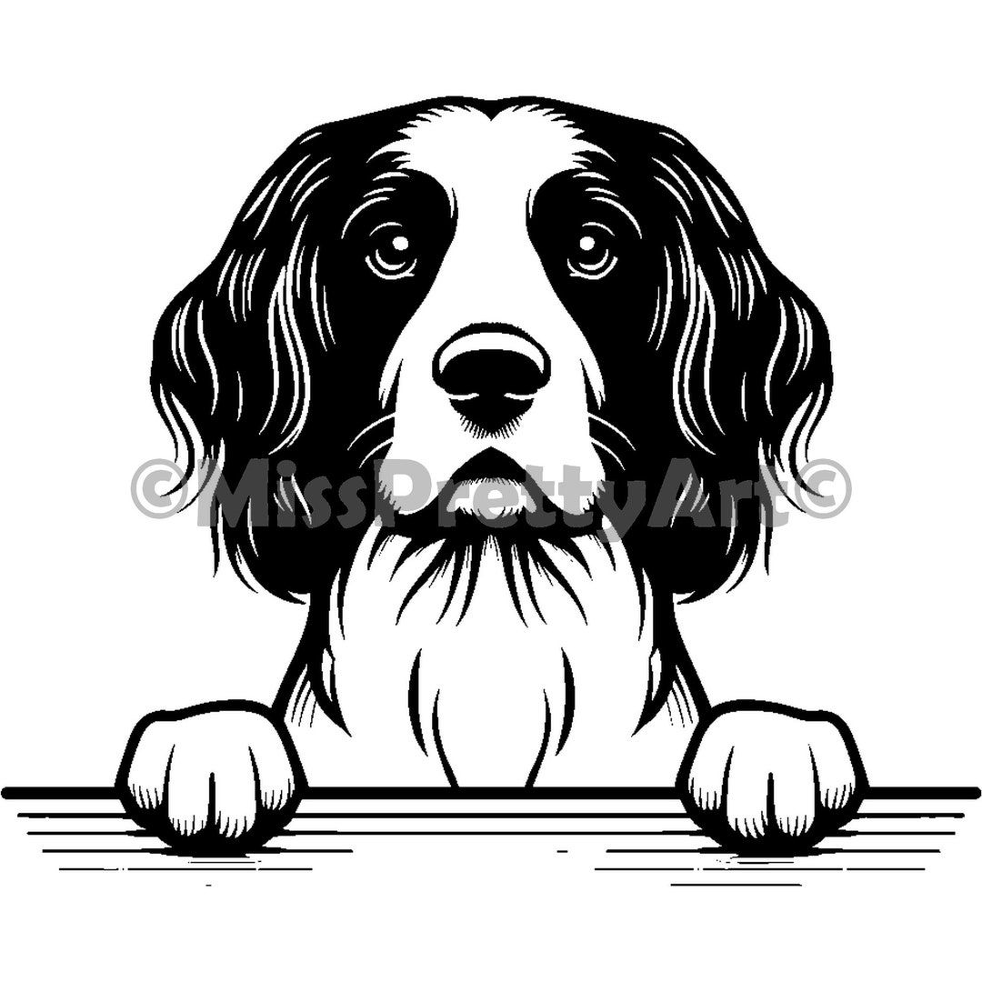 Peeking Intelligent English Springer Spaniel Dog Svg , Dxf, Png, Eps ...