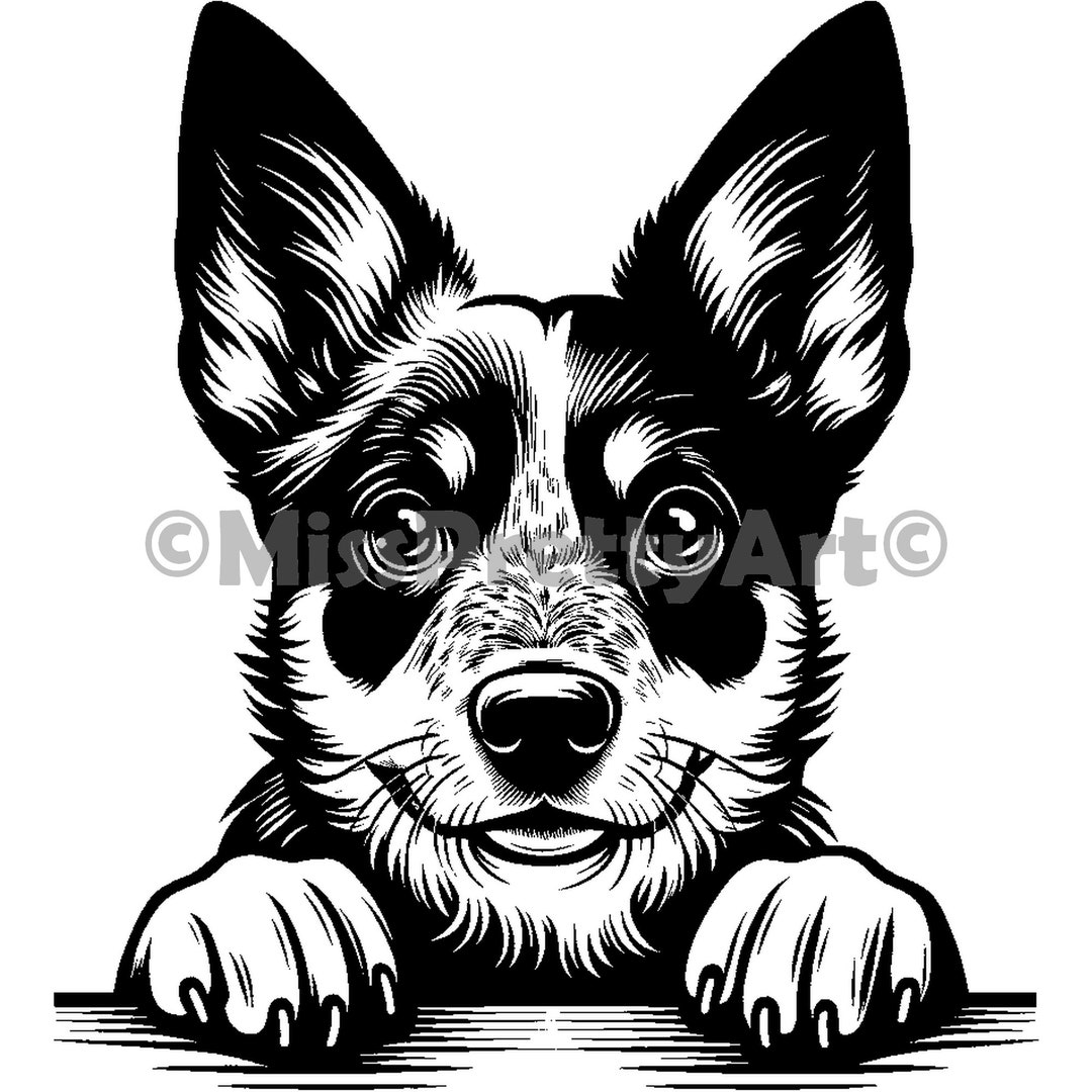Peeking Cheerful Heeler Dog Art Svg , Dxf, Png, Eps High Quality Design ...
